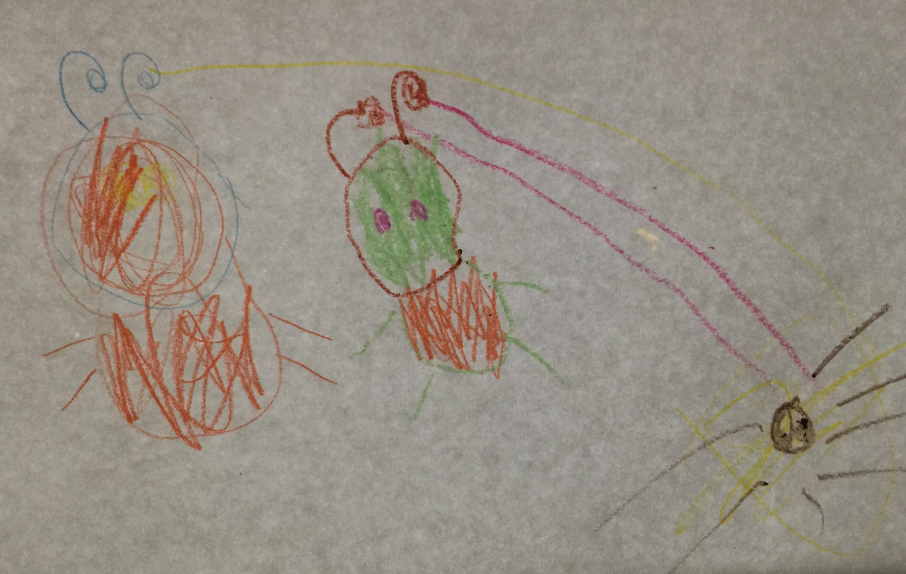 "Alien Spider Pet" - Response on The Wonderment