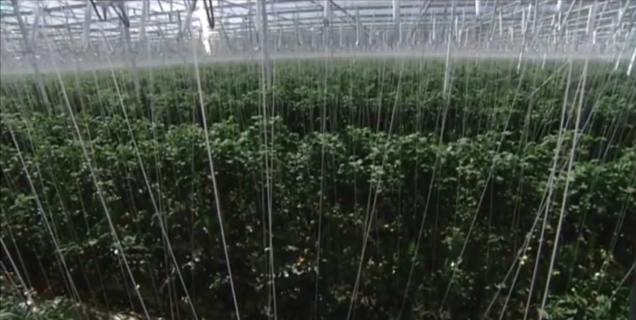 "Hydro Nature" - Project on The Wonderment