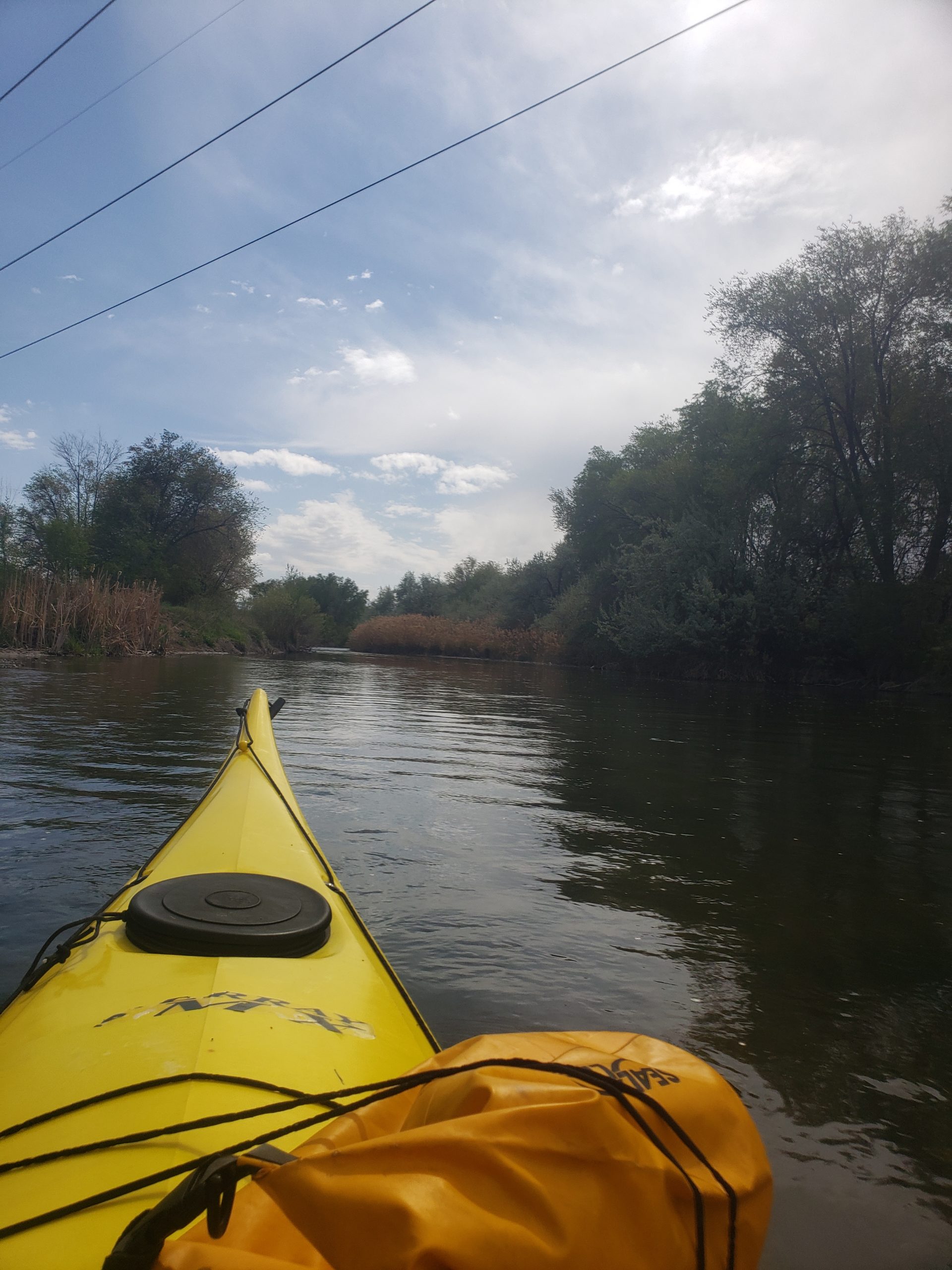 "Healthy Streams!" - Path on The Wonderment