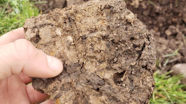 "The soul of soil" - Path on The Wonderment