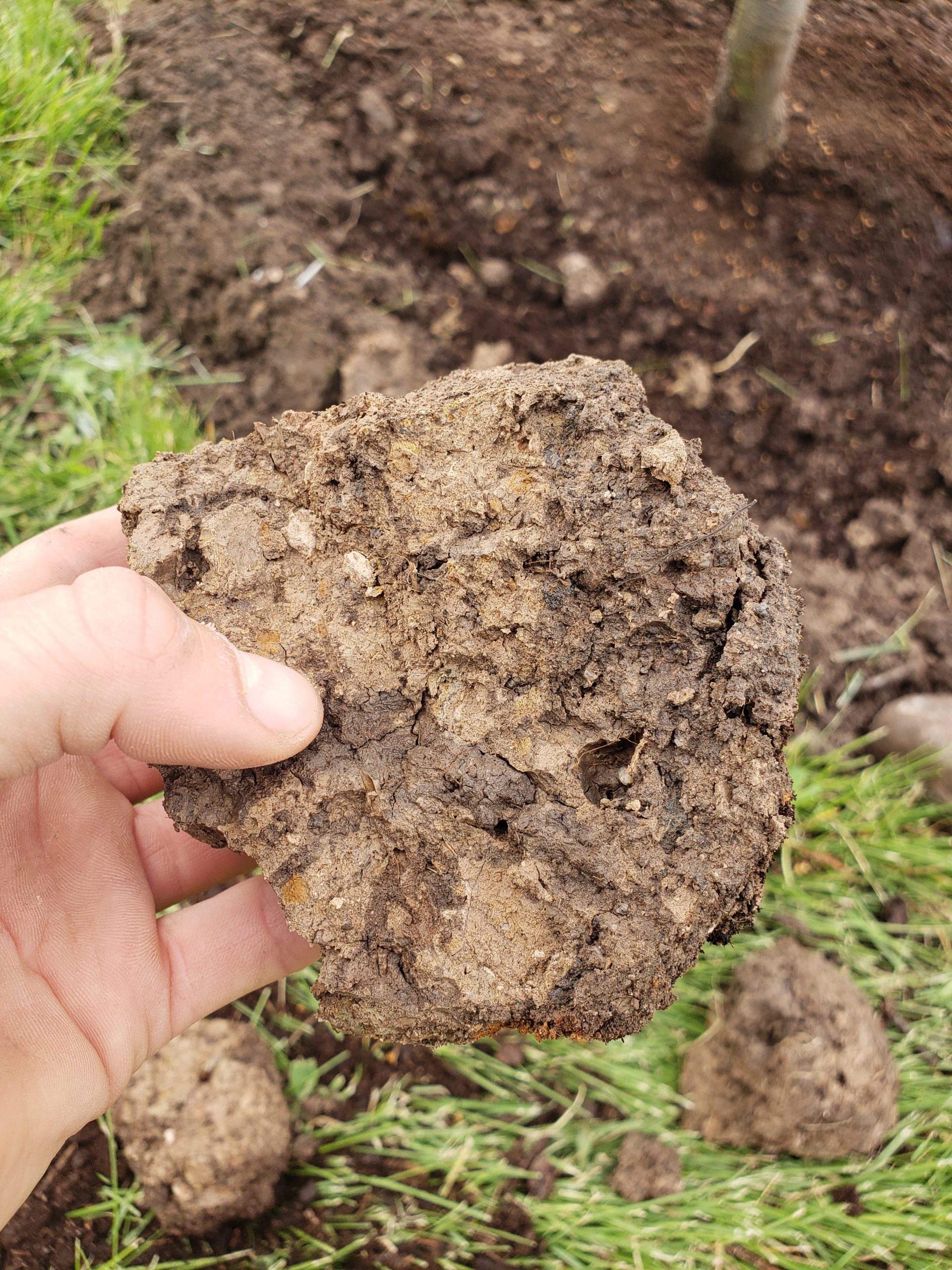 "The soul of soil" - Path on The Wonderment