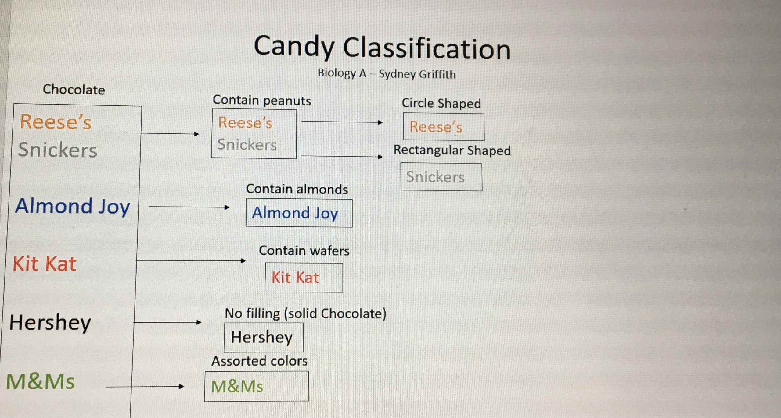 "My Candy Classification" - Response on The Wonderment